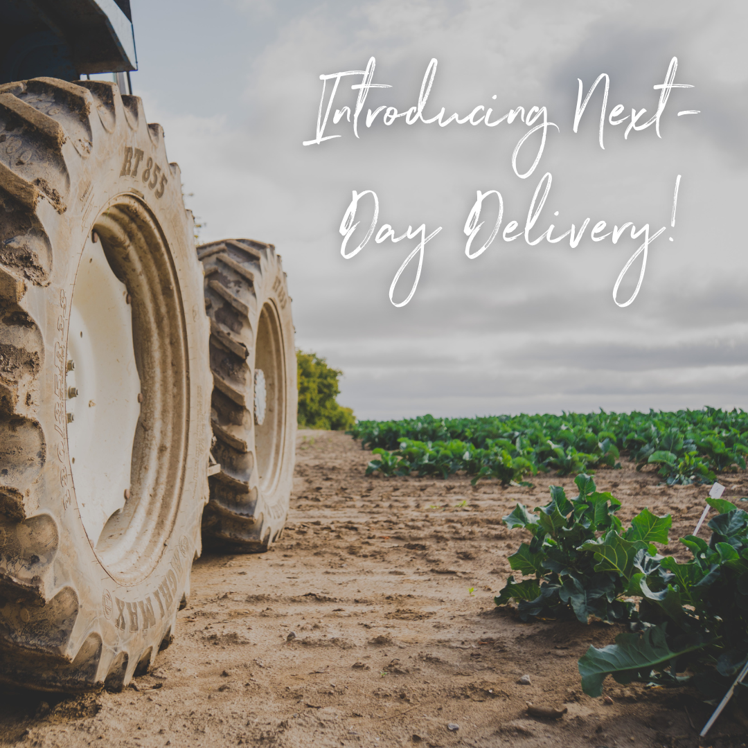 Introducing Next-Day Delivery!